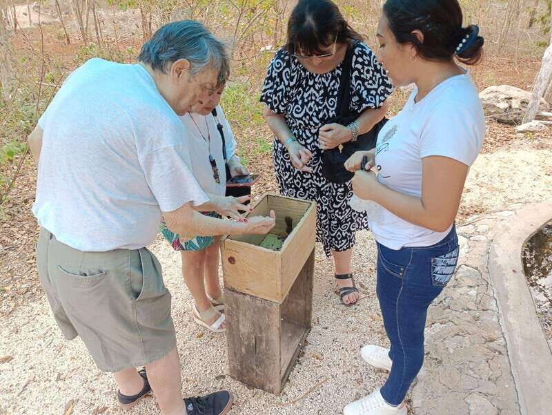 Apiary Tour (Bee tour) also Archeological site and salt Pond - Authentic Experiences and Traveler Feedback