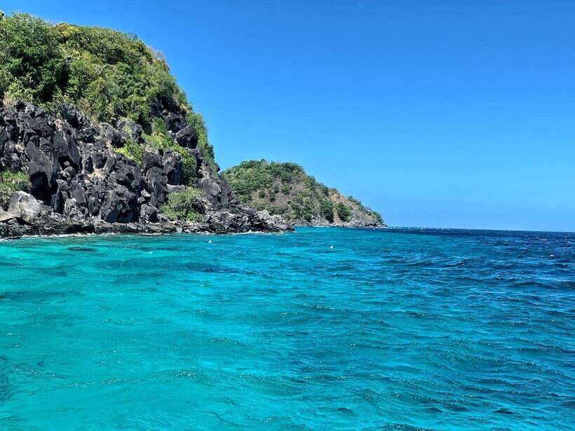 Apo Island Wonders: Snorkel with Sea Turtles in Dumaguete - An In-Depth Look at the Apo Island Snorkeling Tour