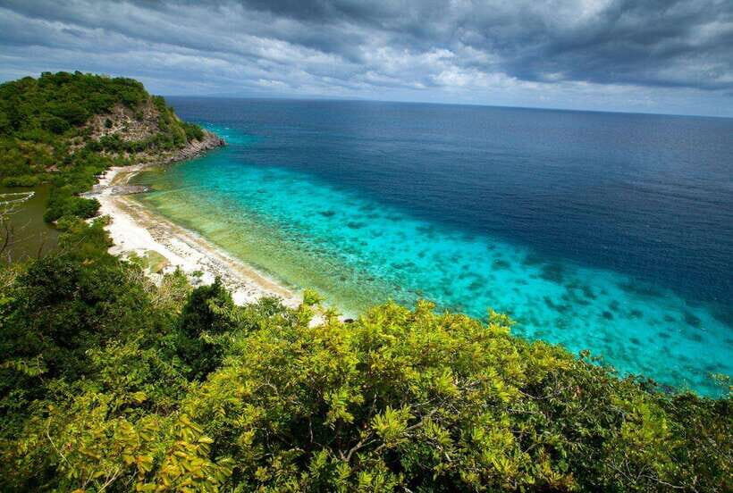 Apo Island Wonders: Snorkel with Sea Turtles in Dumaguete - Final Thoughts