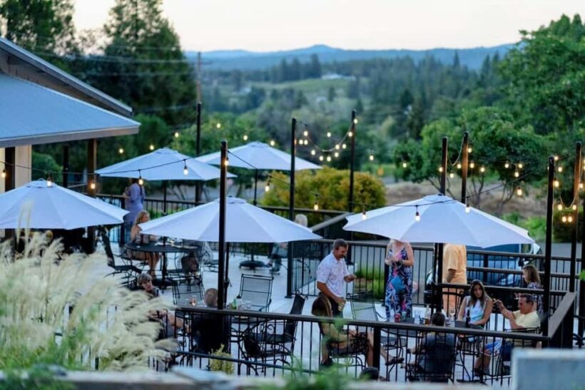 Apple Hill/Carson Road Digital Wine Tasting Passport - Introduction: Why This Digital Wine Tasting Pass Might Be Your Next Great Find