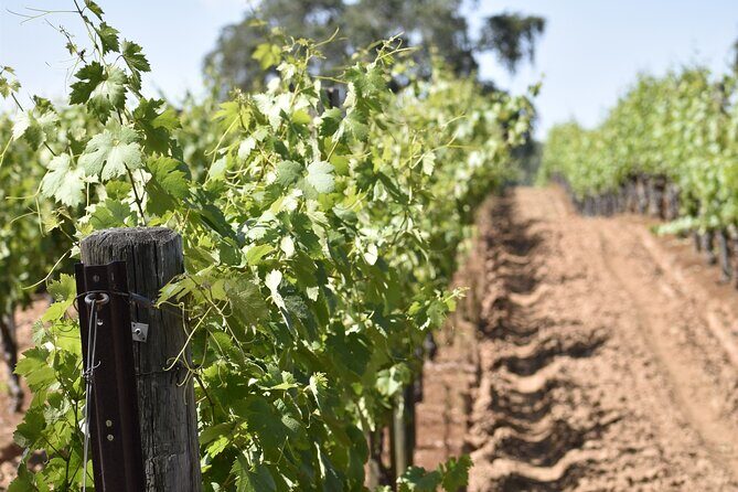 Apple Hill Wine Tasting Tours And Placerville wine tasting tours - The wineries and stops