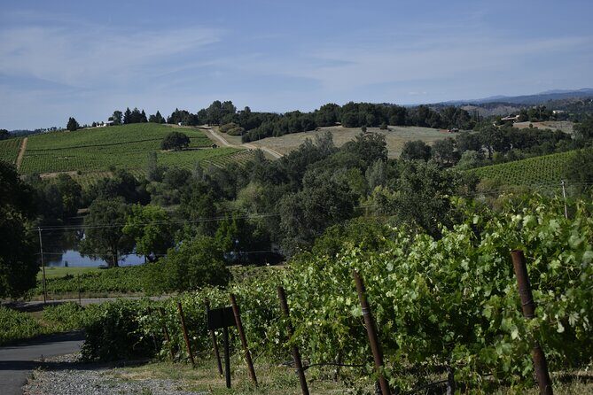 Apple Hill Wine Tasting Tours And Placerville wine tasting tours - Final thoughts