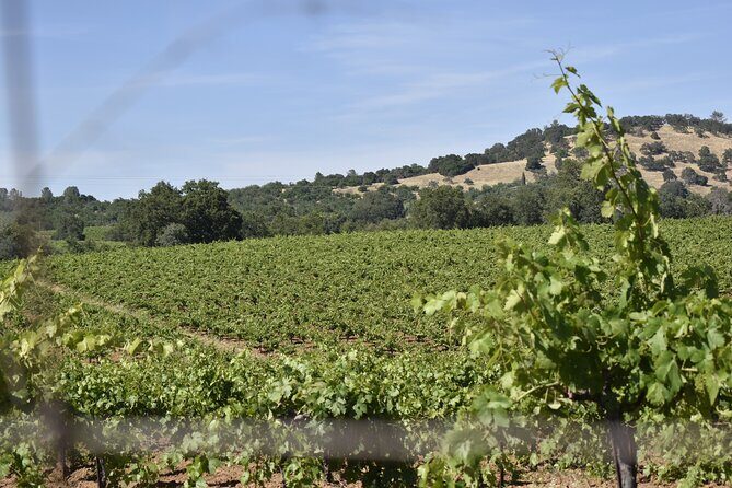 Apple Hill Wine Tasting Tours And Placerville wine tasting tours - FAQ