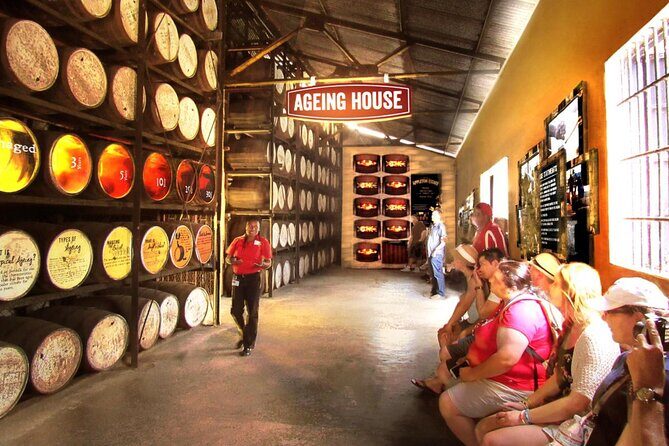 Appleton Estate Rum Factory And YS Falls Inclusive Tours From Montego Bay - Who Would Enjoy This Tour?