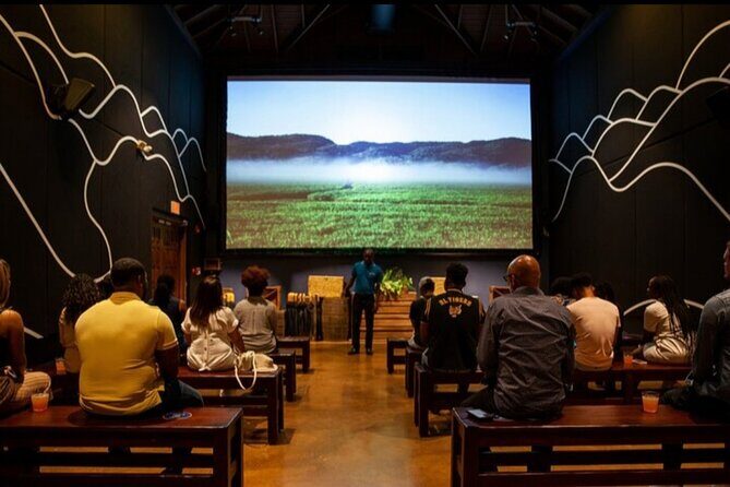 Appleton Estate Rum Tasting and YS Falls - Considerations and Value