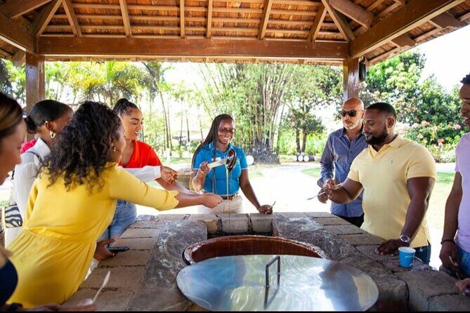 Appleton Estate Rum Tasting and YS Falls - Who Will Love This Tour?