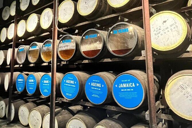 Appleton Estate Rum Tasting and YS Falls - Introduction