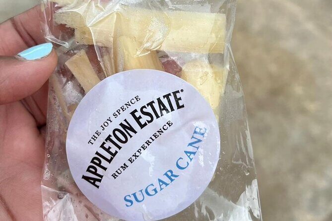 Appleton Estate Rum Tasting and YS Falls - Who Is This Tour Best For?