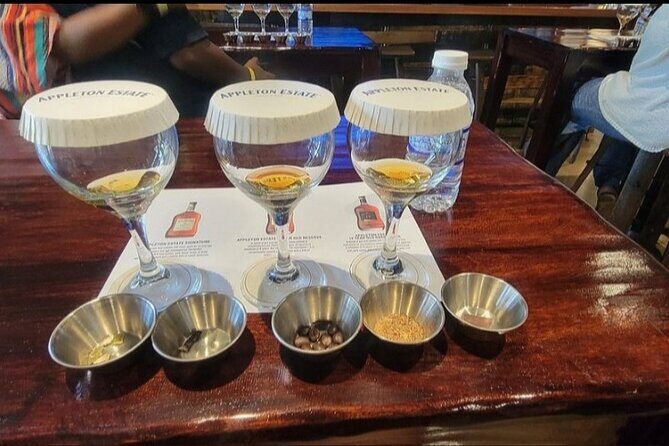 Appleton Estate Rum Tasting Experience - Who Should Consider This Tour?