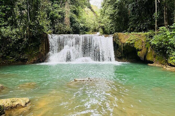 Appleton Estate Rum Tour 5 in 1 Experience - The Quirky Pelican Bar: A Sandbank Oasis