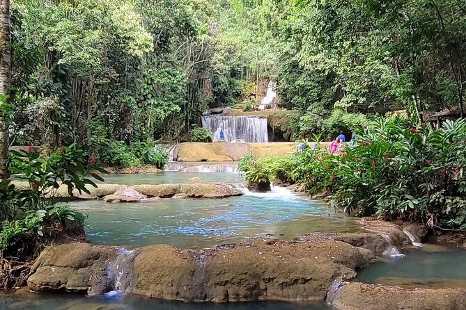 Appleton Estate Rum Tour 5 in 1 Experience - Analyzing the Tour: Whats the Real Value?