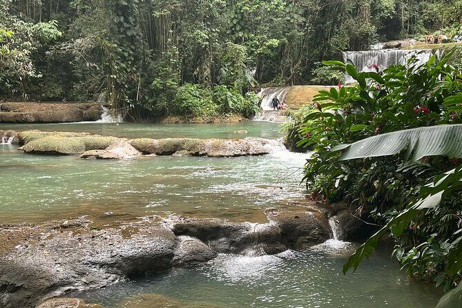 Appleton Estate Rum Tour 5 in 1 Experience - Who Will Love This Tour?