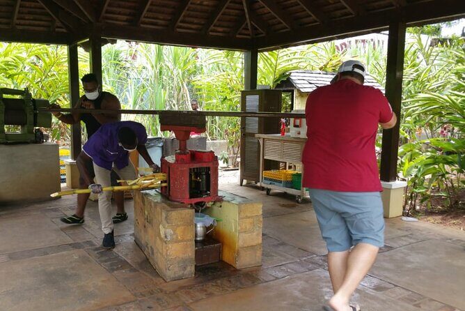 Appleton Estate Rum Tour and Pelican Bar Customize Tour - Discovering Jamaica’s Spirit and Scenery: An In-Depth Look