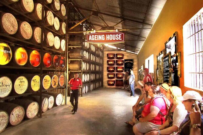 Appleton Estate, Ys Falls and Black River Safari Private Tour - Ys Falls — A Natural Wonder