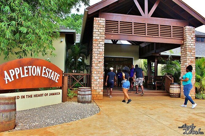 Appleton Estate, Ys Falls and Black River Safari Private Tour - Transportation and Overall Experience