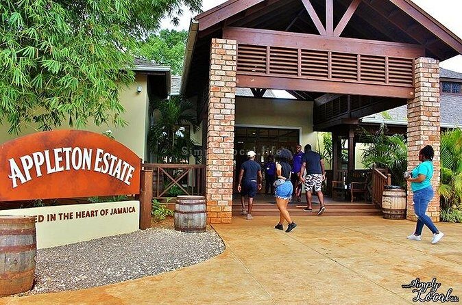 Appleton Estate, Ys Falls and Black River Safari Private Tour - What the Reviews Say