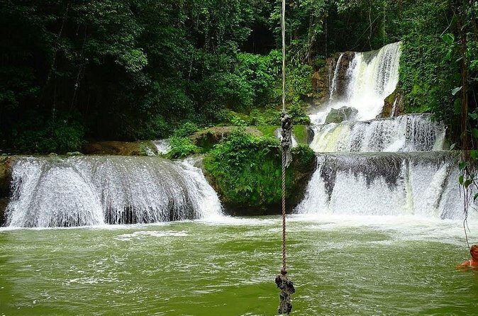 Appleton Estate, Ys Falls and Black River Safari Private Tour - Who Is This Tour Best For?
