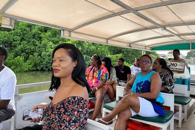 Appleton Rum Estate, Black River Safari & Pelican Bar Private tou - Final Thoughts