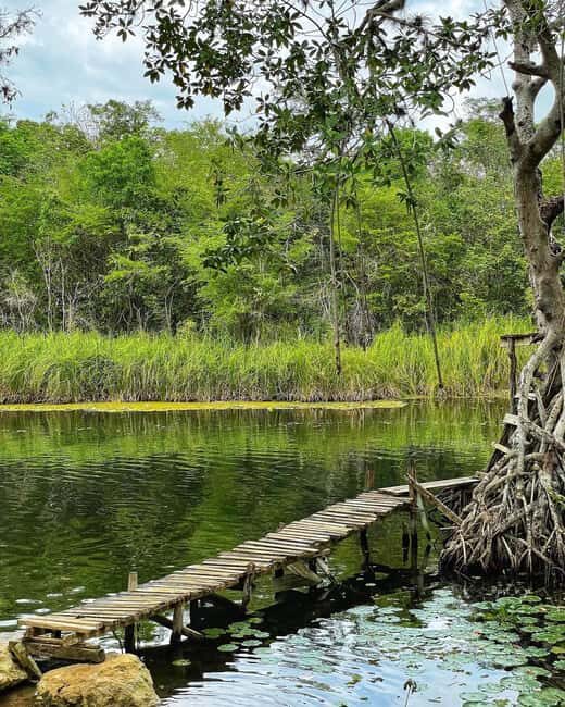 Appleton Rum Factory and Black River Safari Tour - Practical Details and Value