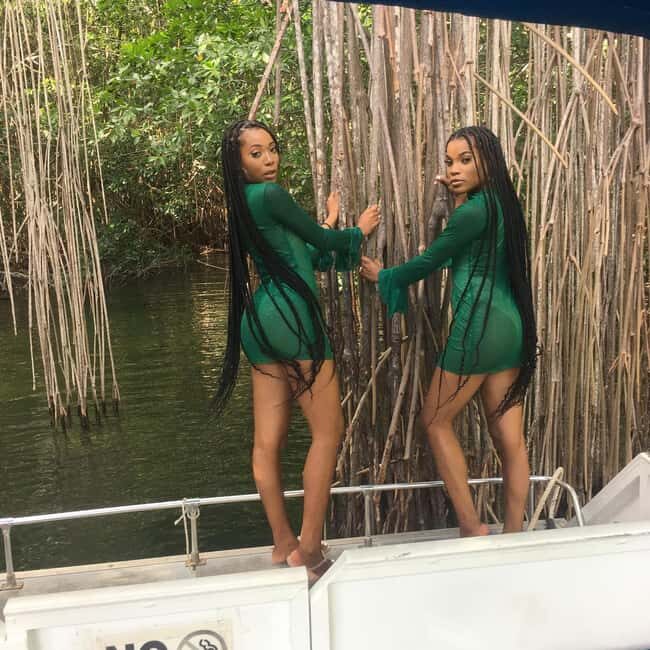 Appleton Rum Factory and Black River Safari Tour - The Sum Up