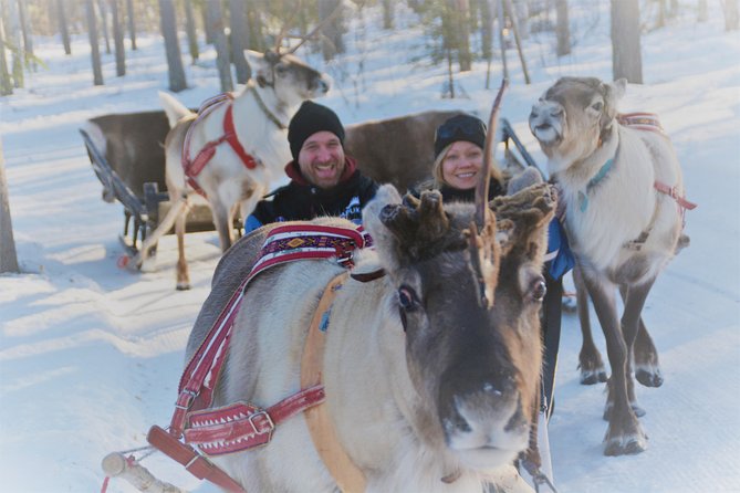 Apukka Reindeer Journey - Authenticity and Ethical Considerations