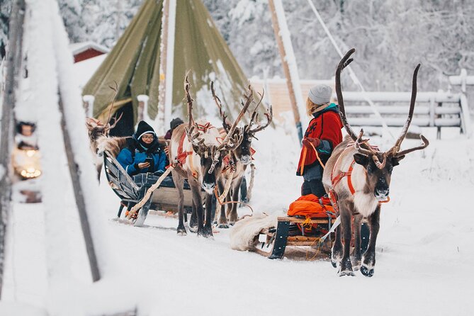 Apukka Reindeer Journey - The Scenic Value and Cultural Touches