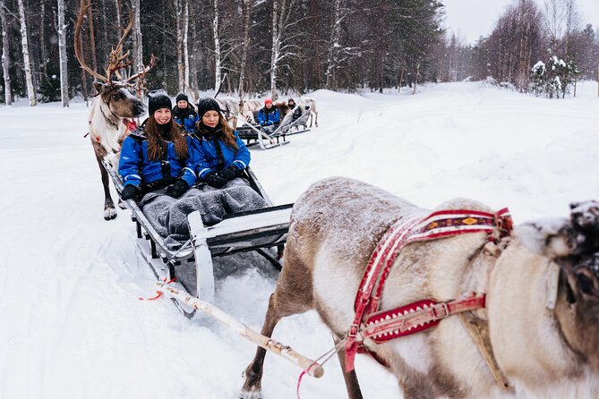 Apukka Reindeer Journey - FAQ