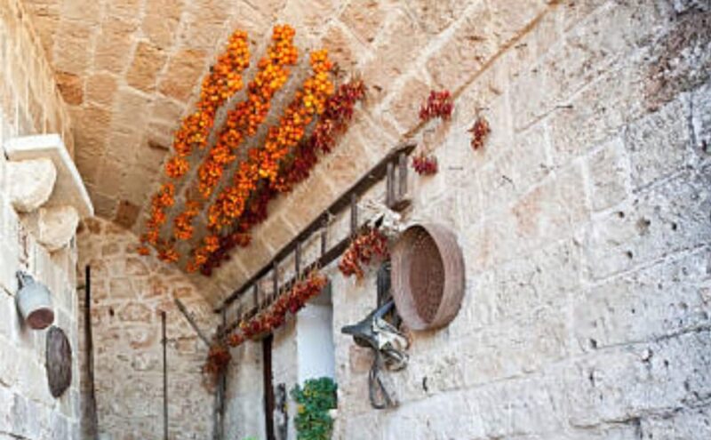 Apulia: Guided Vineyard Tour with Wine Tasting - Final Thoughts