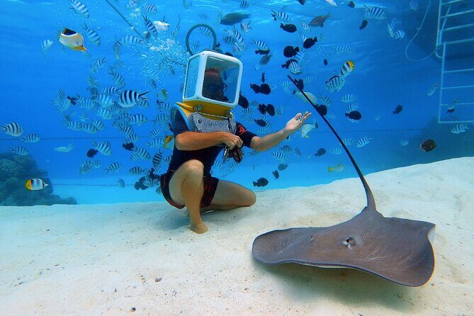 Aqua Safari Introductory Helmet Dive (Underwater Walk) - Who Will Enjoy This?