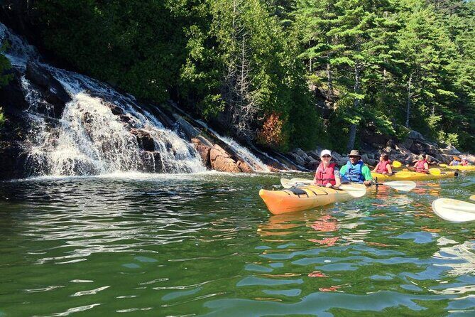 Aqua Safari Kayak tour departing Southwest Harbor - Detailed Breakdown of the Itinerary