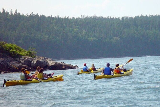 Aqua Safari Kayak tour departing Southwest Harbor - Cancellation Policy and Weather Considerations