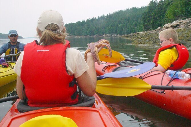Aqua Safari Kayak tour departing Southwest Harbor - Final Thoughts