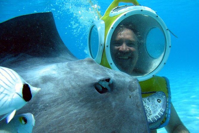 Aquablue Moorea - Key Points
