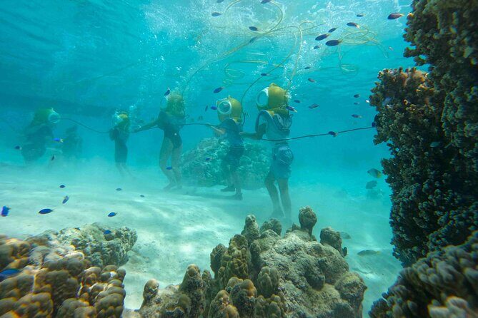 Aquablue Moorea - What to Expect on the Aquablue Moorea Experience