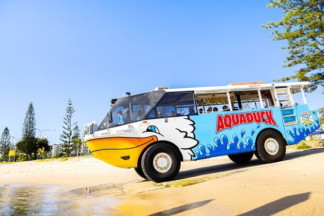 Aquaduck Gold Coast 1 hour City and River Tour - What Do We Think? The Good, the Fun, and the Practical