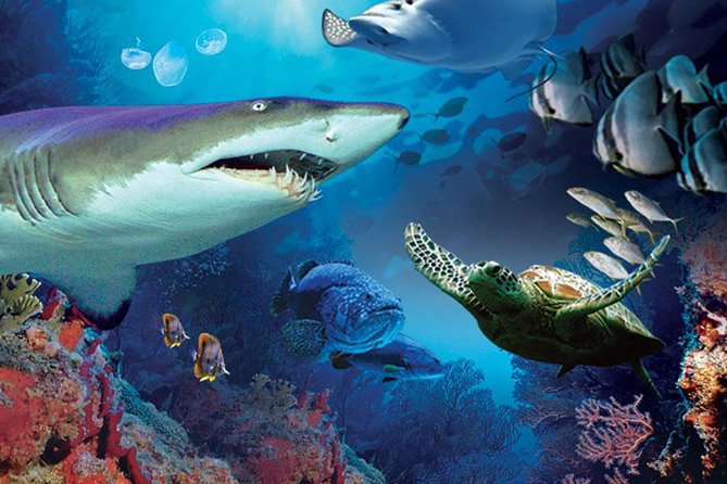 Aquaria KLCC Admission with Kuala Lumpur City Famous Landmarks - Final Thoughts