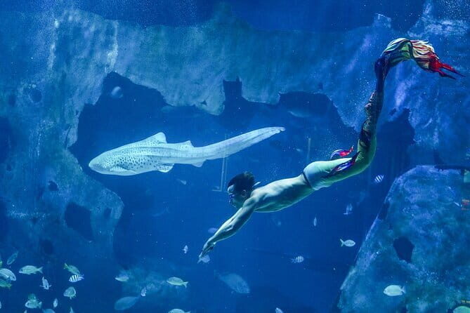 Aquaria Phuket and 4D Trickeye Museum Experience Ticket - Final Thoughts