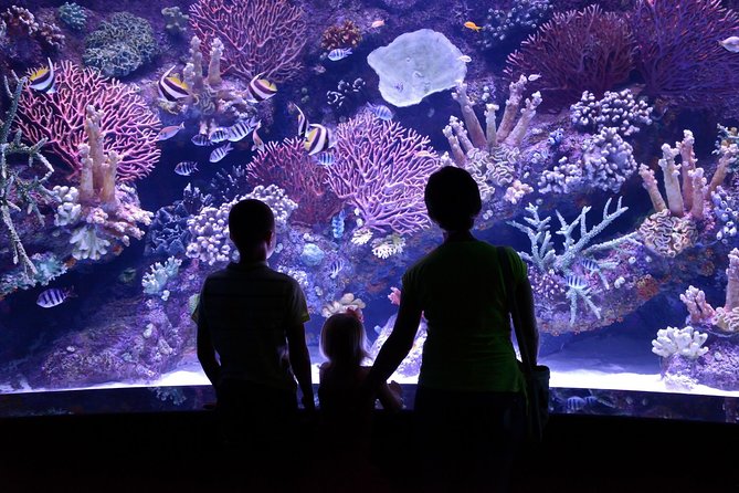 Aquarium & Face2Face Wax Museumwith Hotel Transfer - Pricing and Booking Information