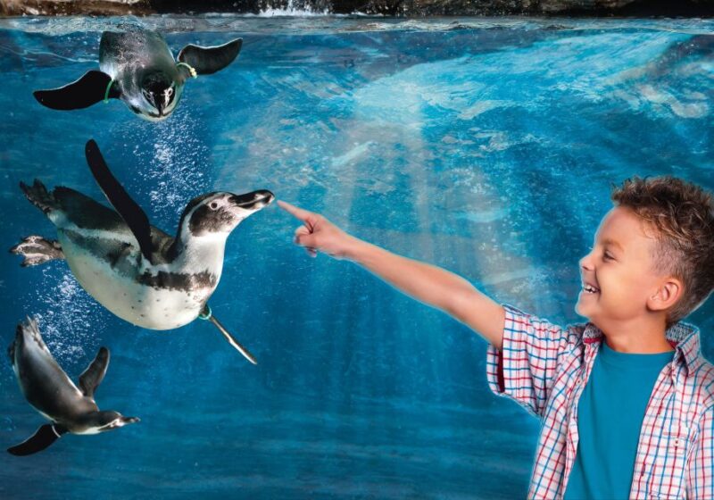 Aquarium of Cattolica Entry Ticket - Key Points