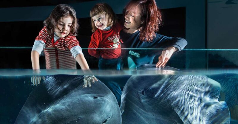 Aquarium of Cattolica Entry Ticket - Authentic Experiences & Visitor Insights