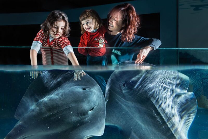 Aquarium of Cattolica Entry Ticket - Final Thoughts: Who Will Love This Experience?
