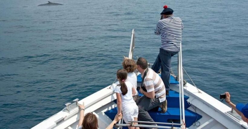 Aquarium of Genoa Ticket and Whale Watching Cruise - Discovering the Aquarium of Genoa: What to Expect