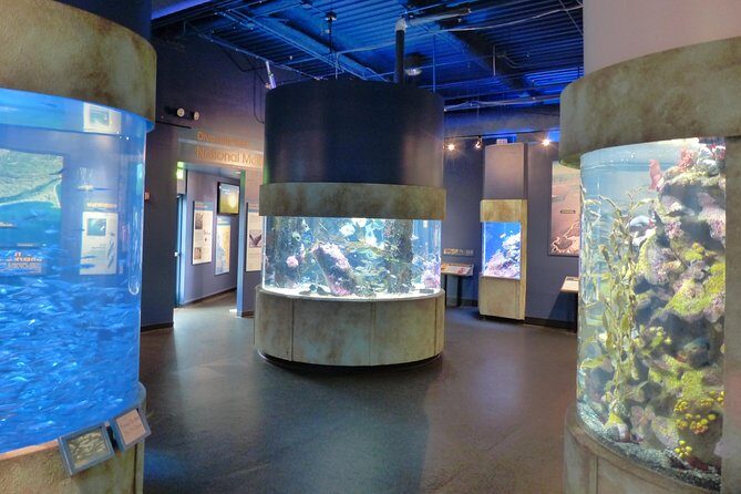 Aquarium of the Bay General Admission Ticket - Exploring What You Can Expect at Aquarium of the Bay