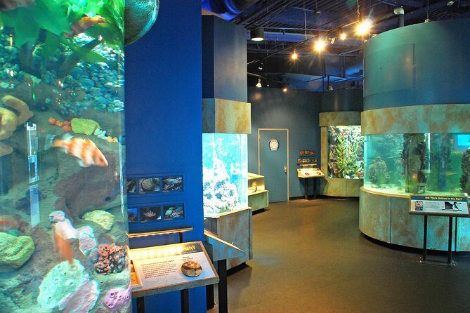 Aquarium of the Bay General Admission Ticket - Is it Worth Your Time? Our Take