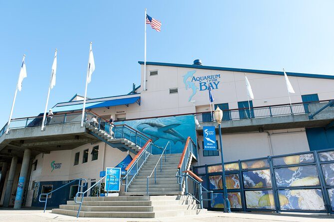 Aquarium of the Bay General Admission Ticket - Wrapping It Up