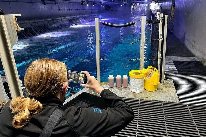 Aquarium of the Bay VIP Experience - Detailed Tour Breakdown