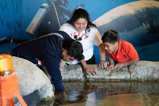 Aquarium of the Bay VIP Experience - Authentic Reviews and Perspectives