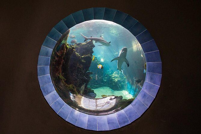 Aquarium Package in Nouméa's with Admission with Hop-on Hop-Off - Exploring Nouméa’s Aquarium: An In-Depth Review