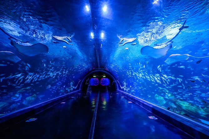 Aquarium Phuket and AR Trick Eye Museum Combo Tickets - Introduction: A Fun-Packed Day for All Ages in Phuket
