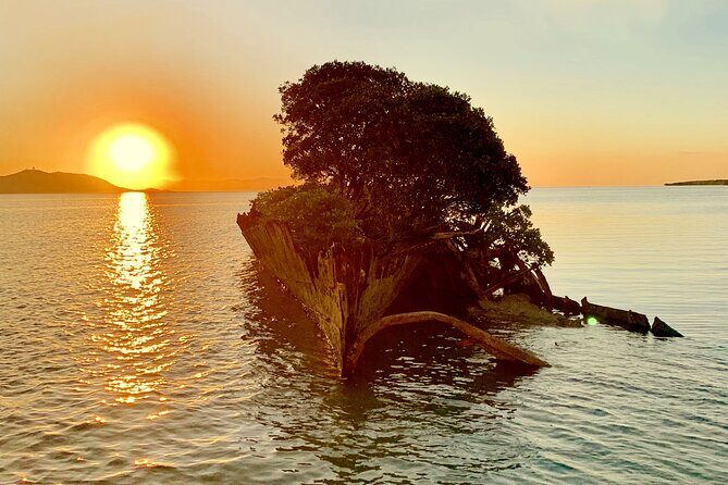 Aquascene Magnetic Island Sunset & Shipwreck Tour - Practical Details: What to Expect and Prepare For